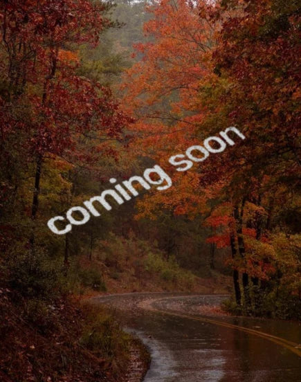 Coming Soon! – Solii